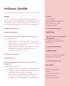 How To Build A Professional Resume (Plus Examples and Templates ...