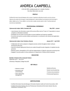 How To Build A Professional Resume (Plus Examples and Templates ...